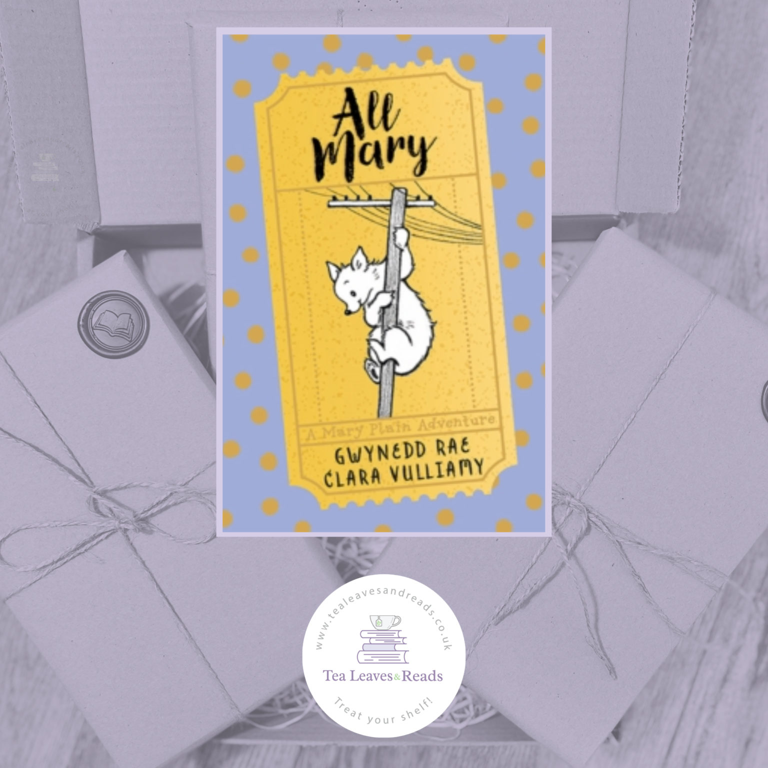 All Mary (A Mary Plain Adventure) by Gwynedd Rae - Tea Leaves & Reads