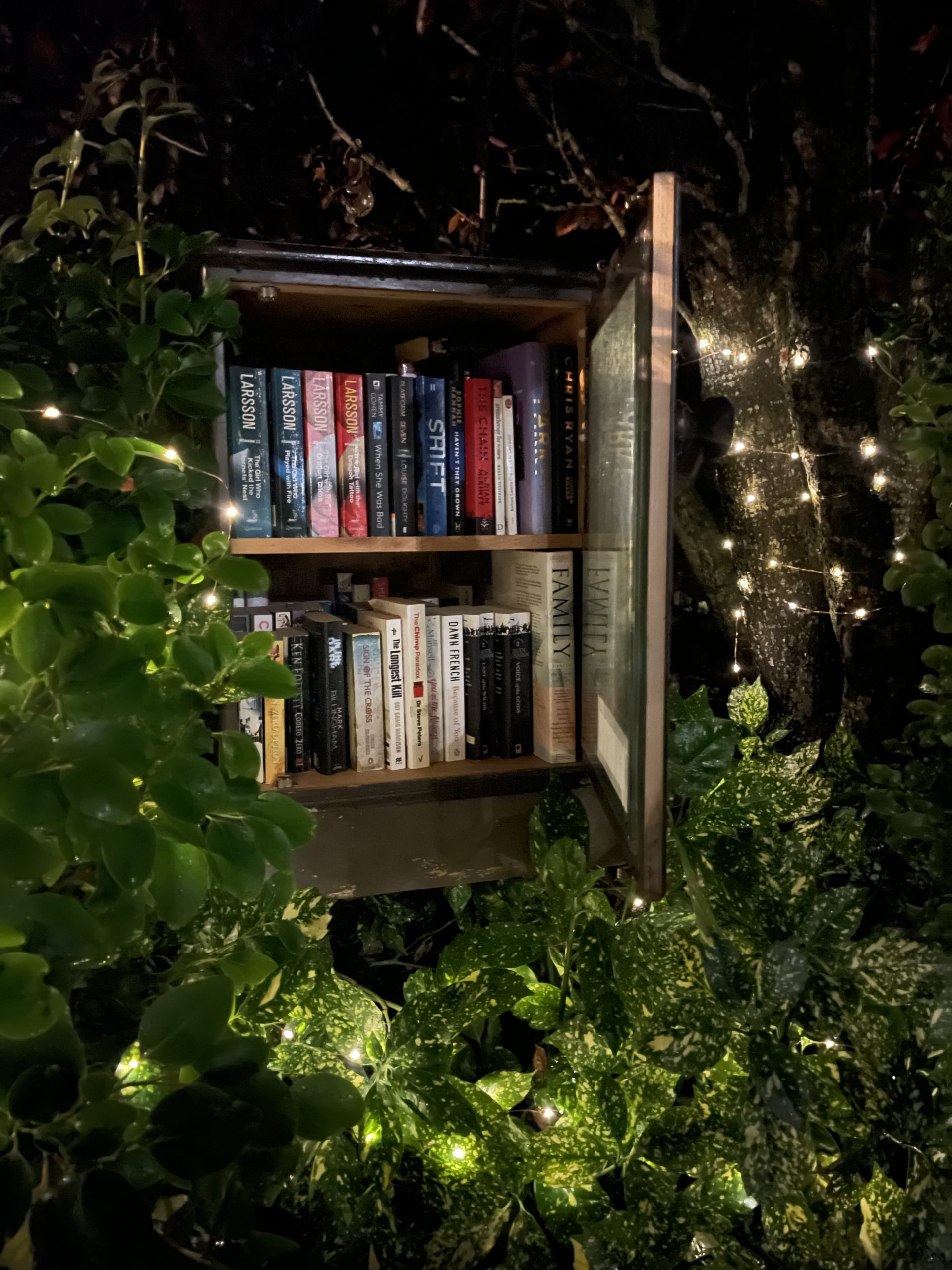 The Little Library @ Tea Leaves and Reads - Tea Leaves & Reads