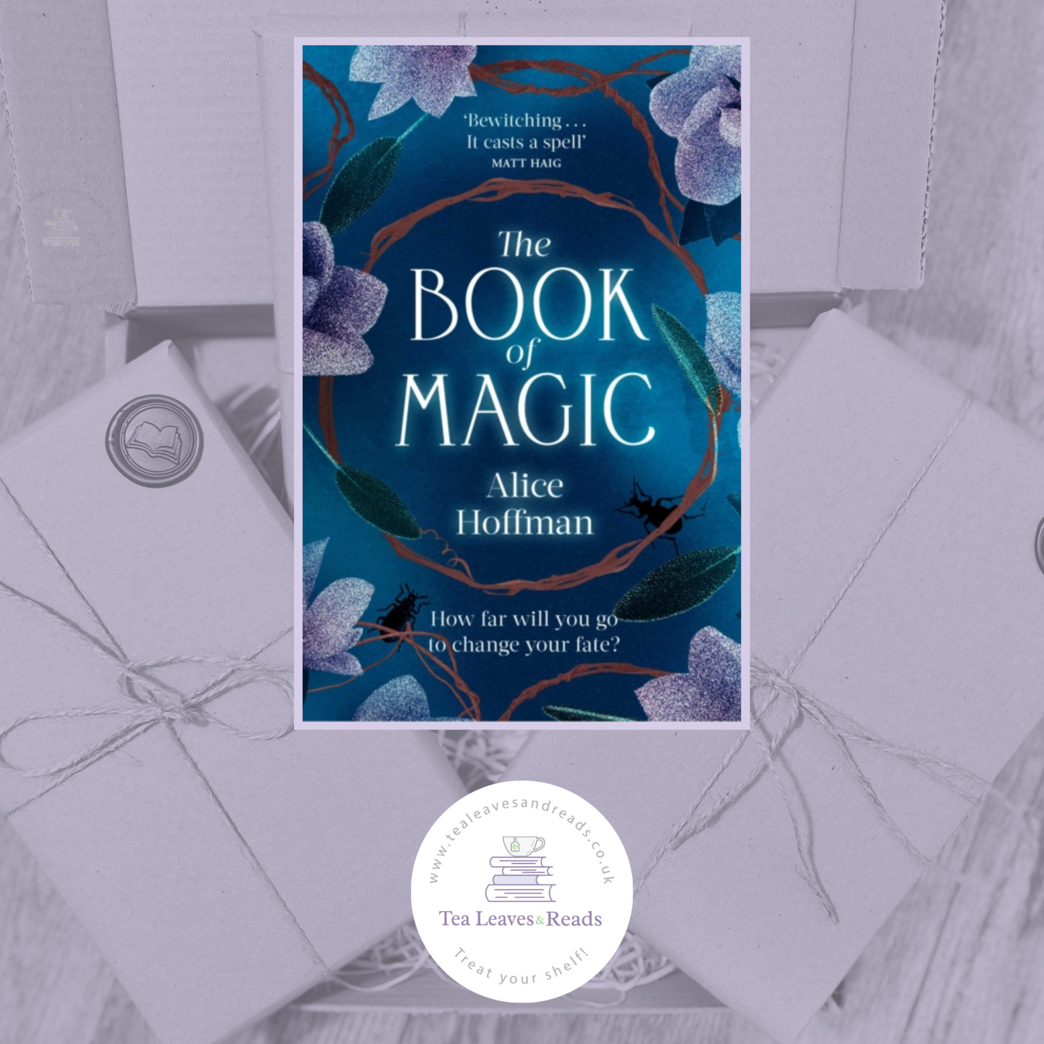 The Book of Magic by Alice Hoffman - Tea Leaves & Reads
