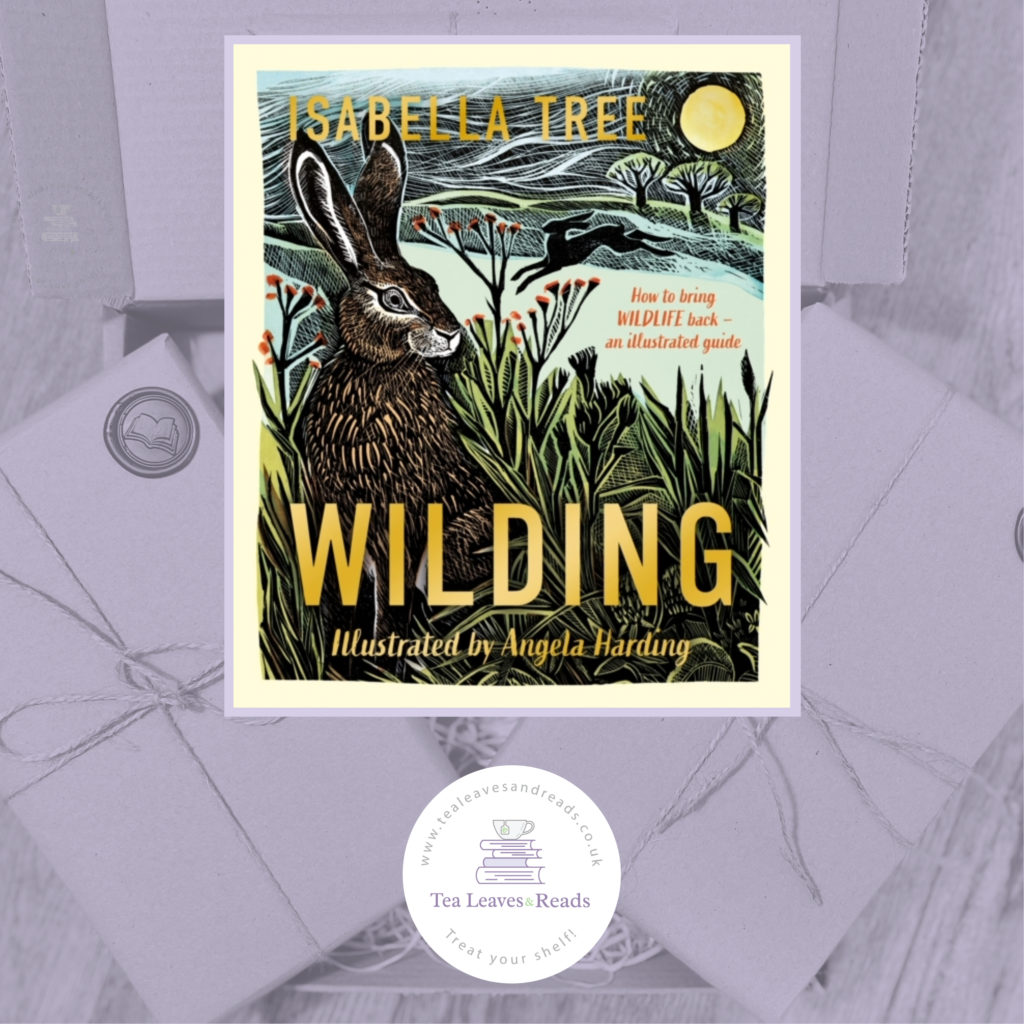 Shop - Tea Leaves & Reads