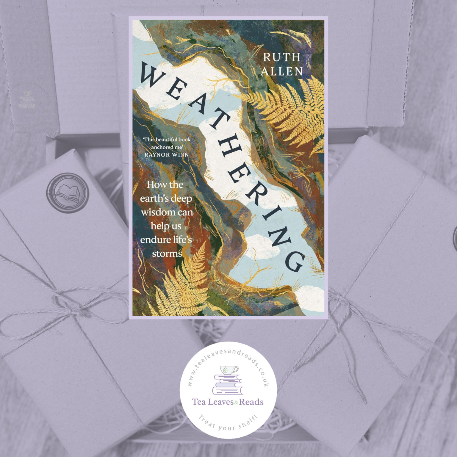 Weathering by Ruth Allen - Tea Leaves & Reads