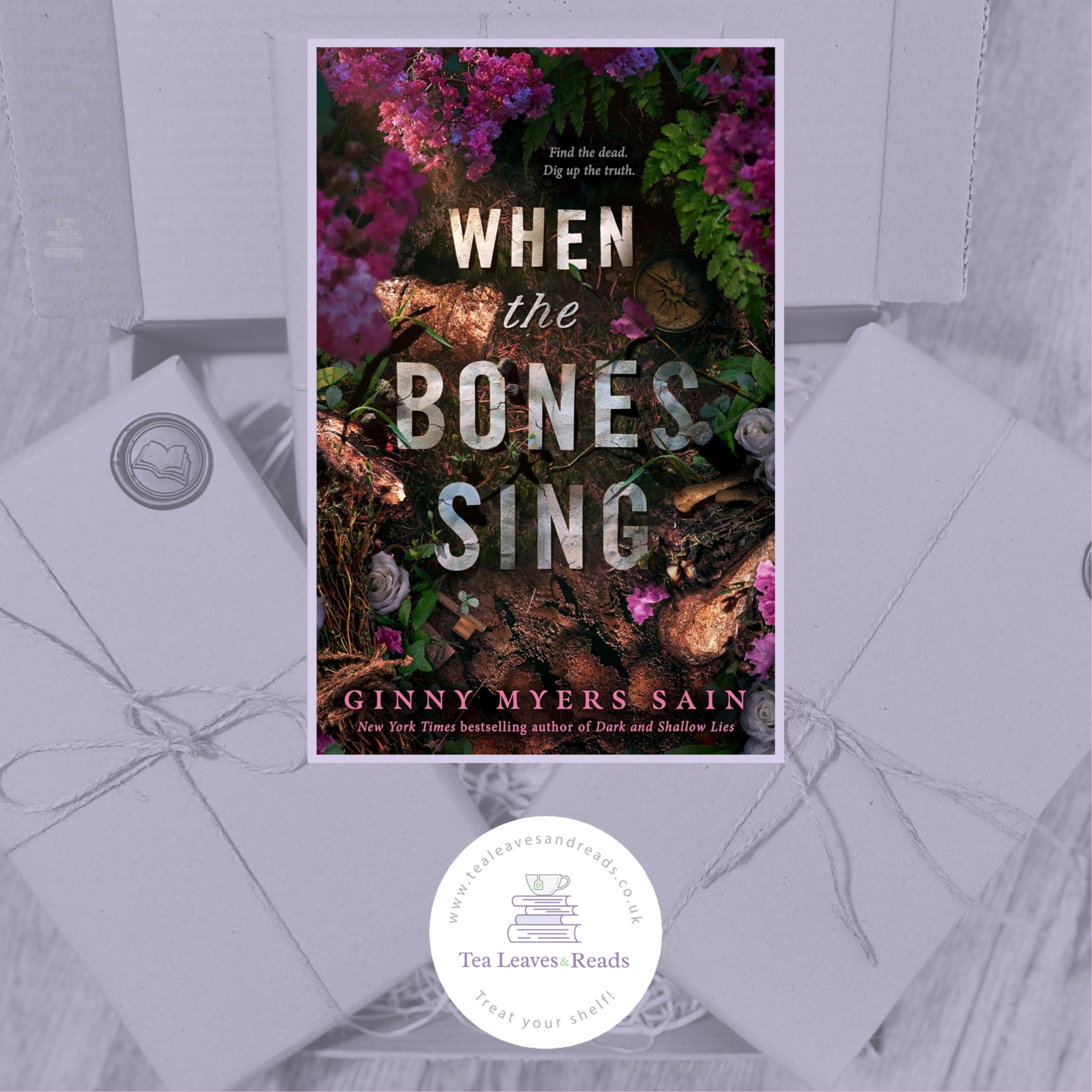 When The Bones Sing by Ginny Myers Sain - Tea Leaves & Reads