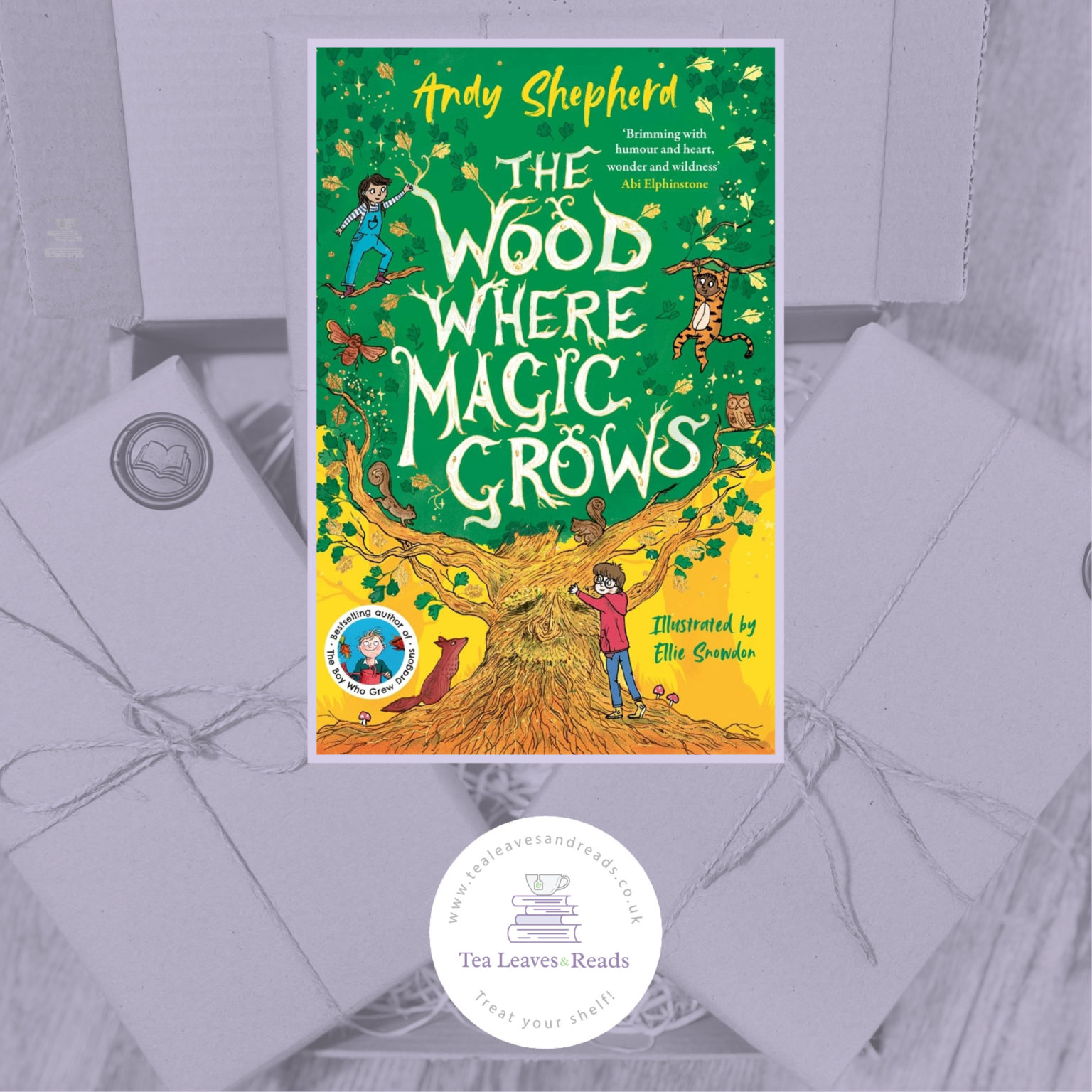 The Wood Where the Magic Grows by Andy Shepherd illustrated by Ellie ...