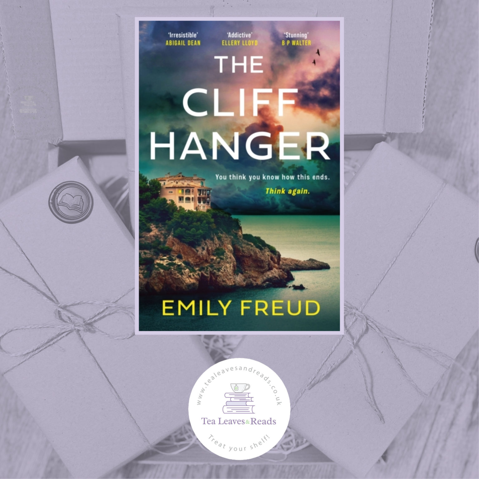 The Cliffhanger by Emily Freud - Tea Leaves & Reads