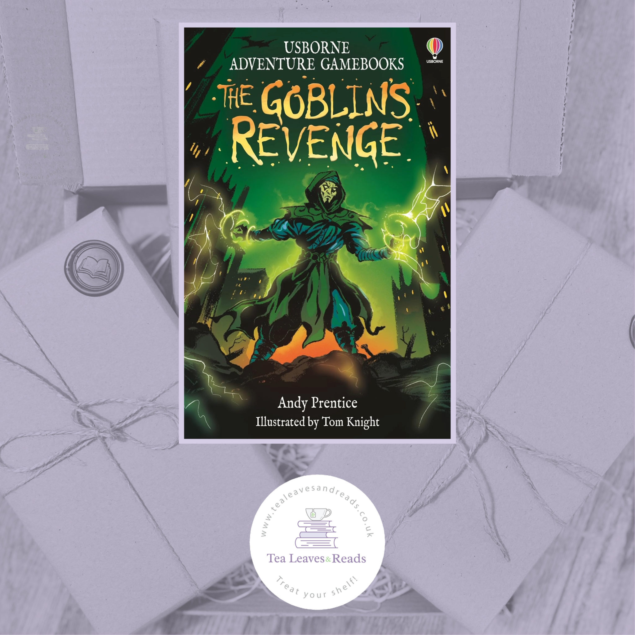 The Goblin’s Revenge (Adventure Gamebooks) by Andy Prentice illustrated ...