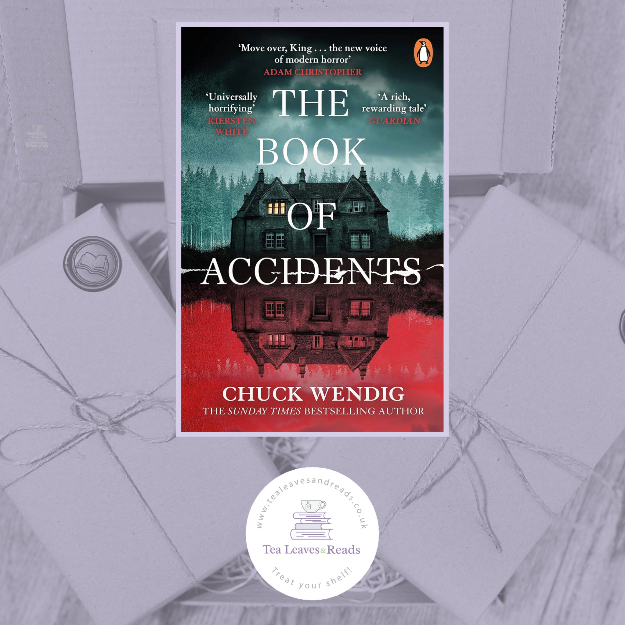 The Book of Accidents by Chuck Wendig - Tea Leaves & Reads