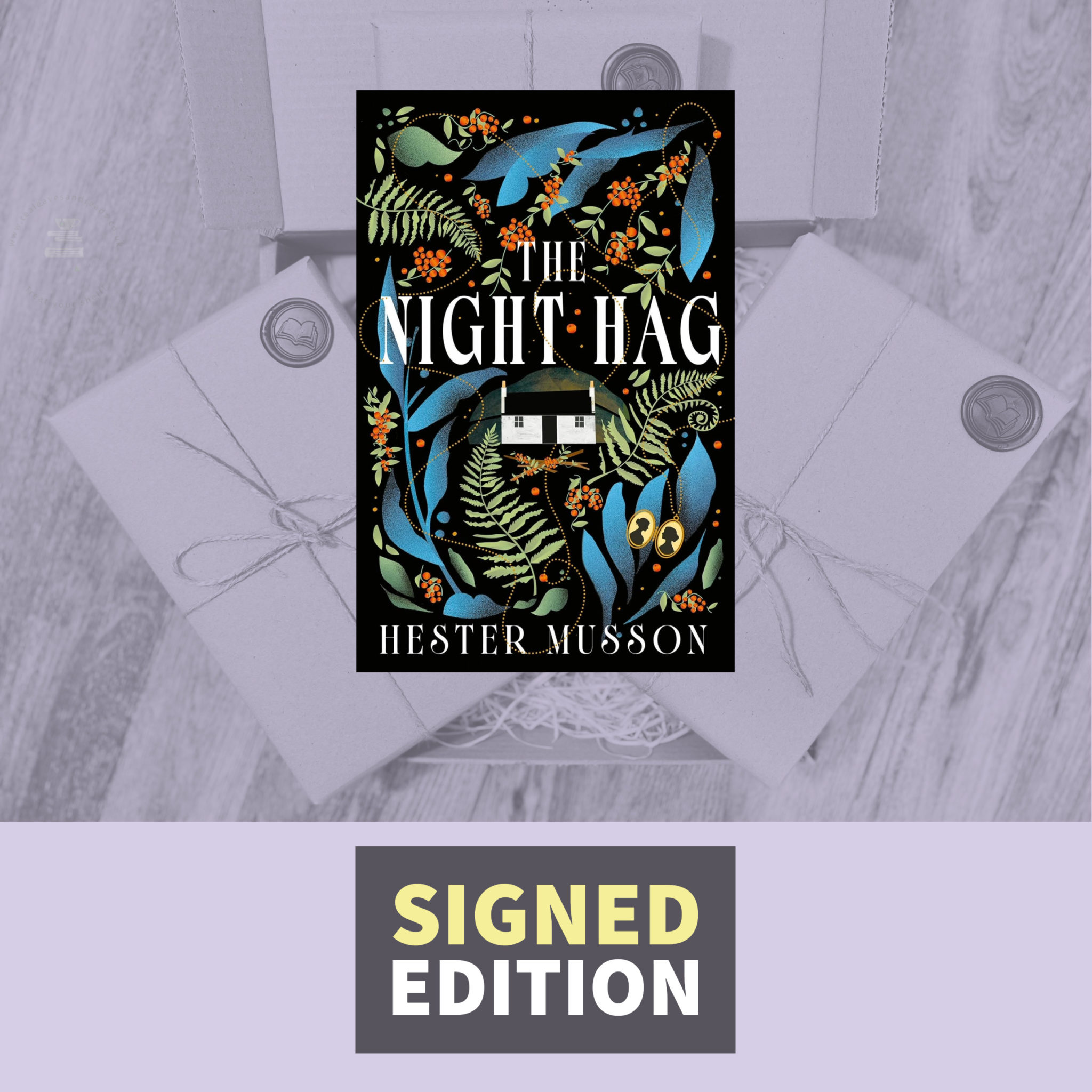 The Night Hag by Hester Musson (Signed Bookplate Edition) - Tea Leaves ...