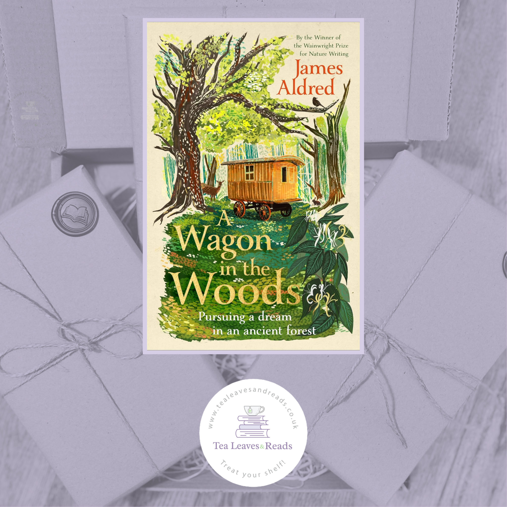 A Wagon in the Woods: Pursuing a Dream in an Ancient Forest by James ...