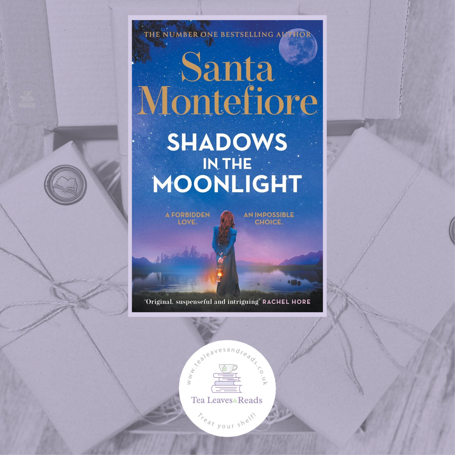 Shadows in the Moonlight by Santa Montefiore (Timeslider Book One ...